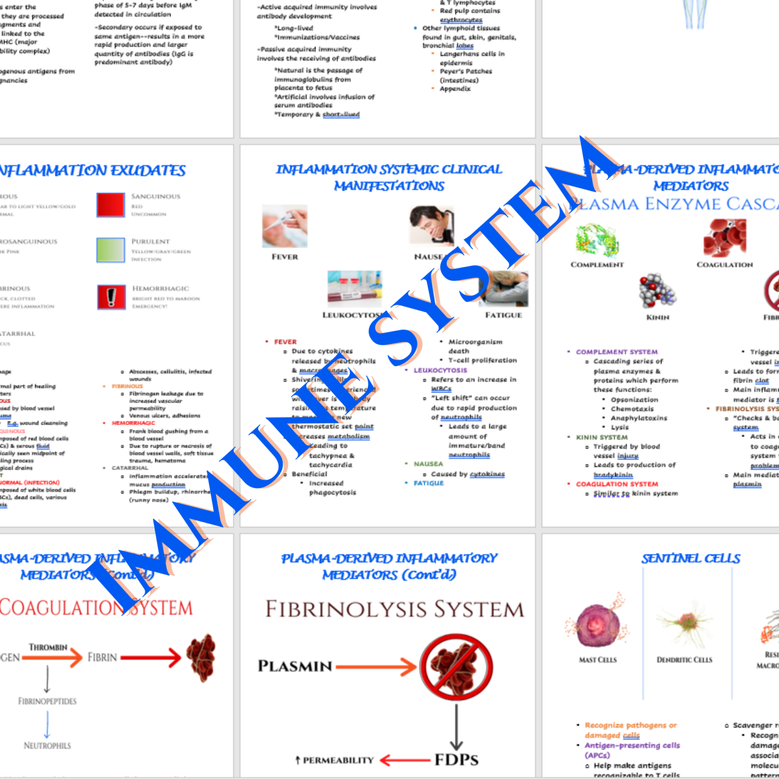 Immunology Lecture Notes Pdf Immunology Lecture Notes Pdf