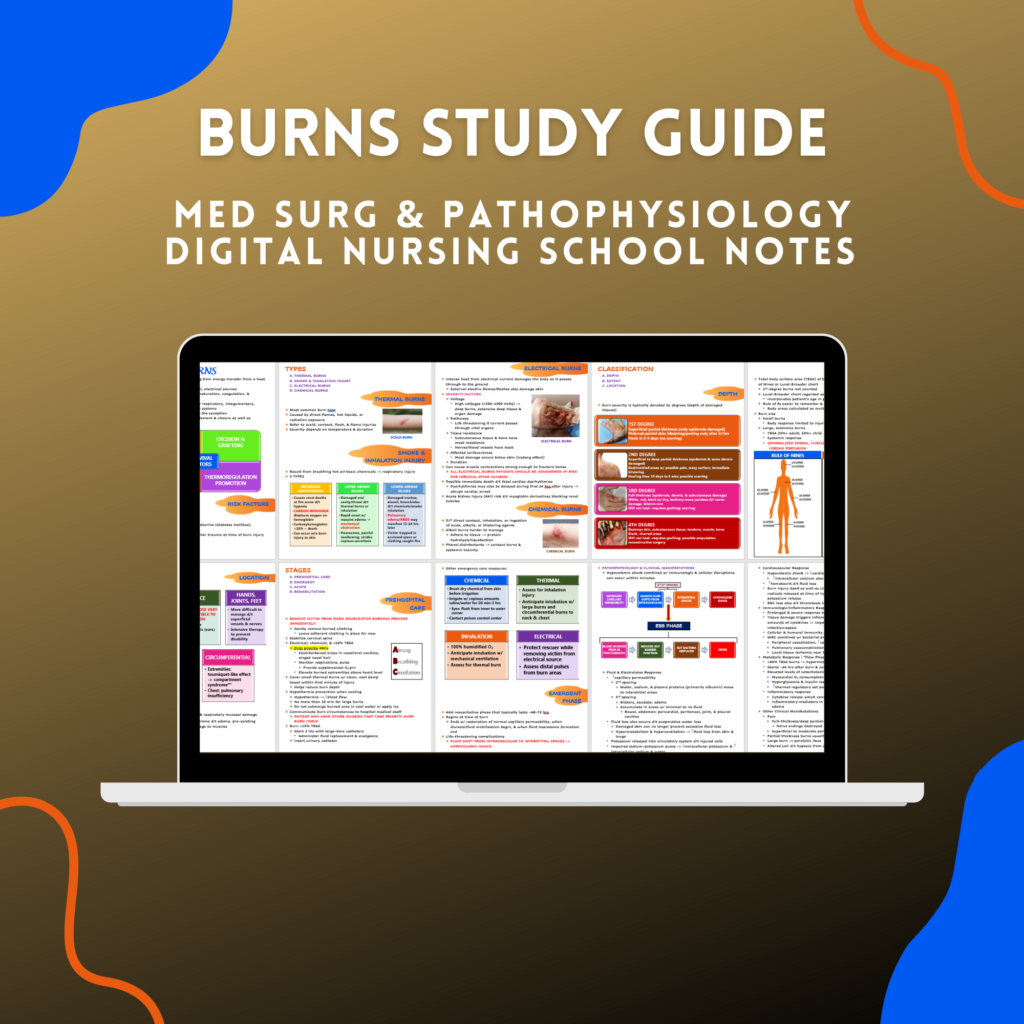Burns Nursing Notes - Scholarly Nurse