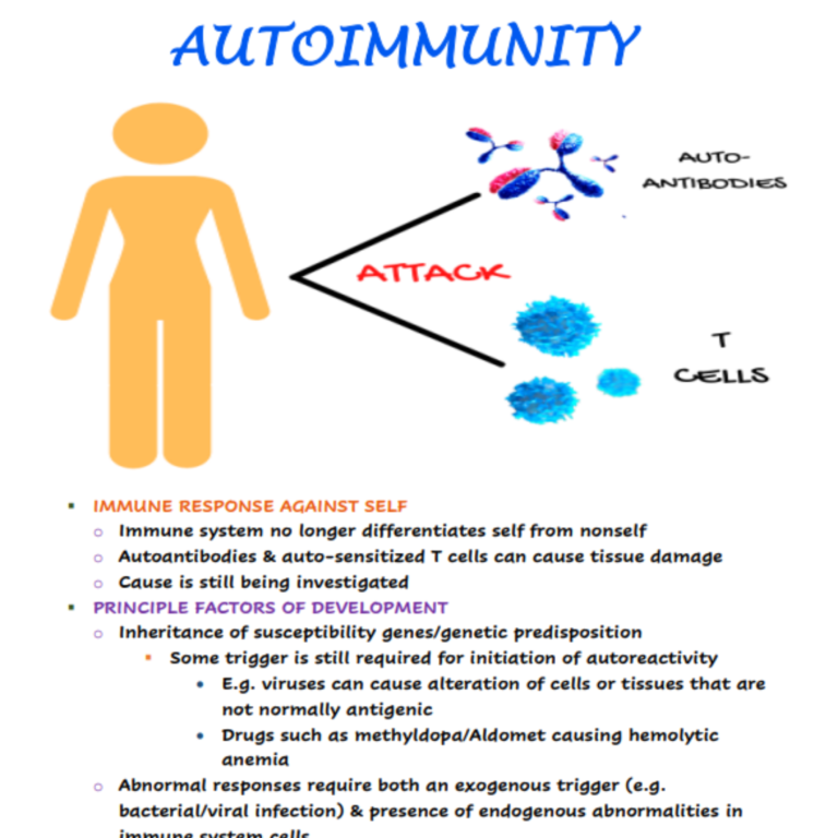 Immune System Nursing Notes Bundle - Scholarly Nurse